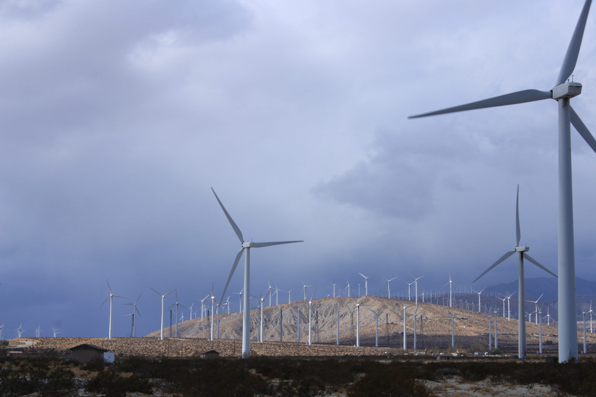 Visit the Palm Springs Windmills - Kimberly Us