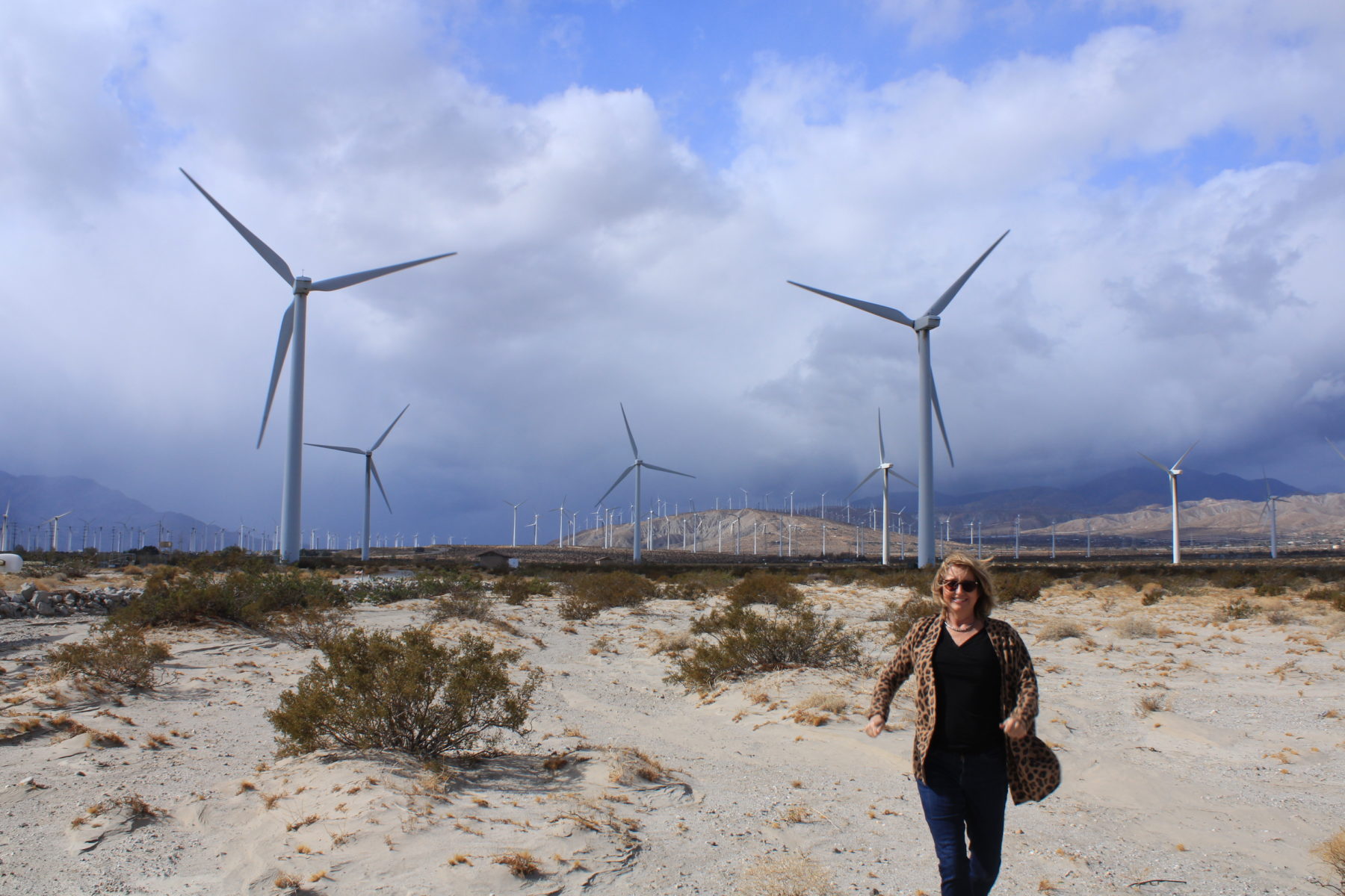 Visit the Palm Springs Windmills - Kimberly Us